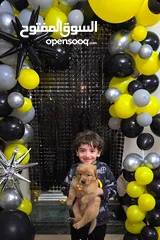 كلب جولدن ذكر للبيع : كلاب للبيع : القاهرة المقطم (274066589)