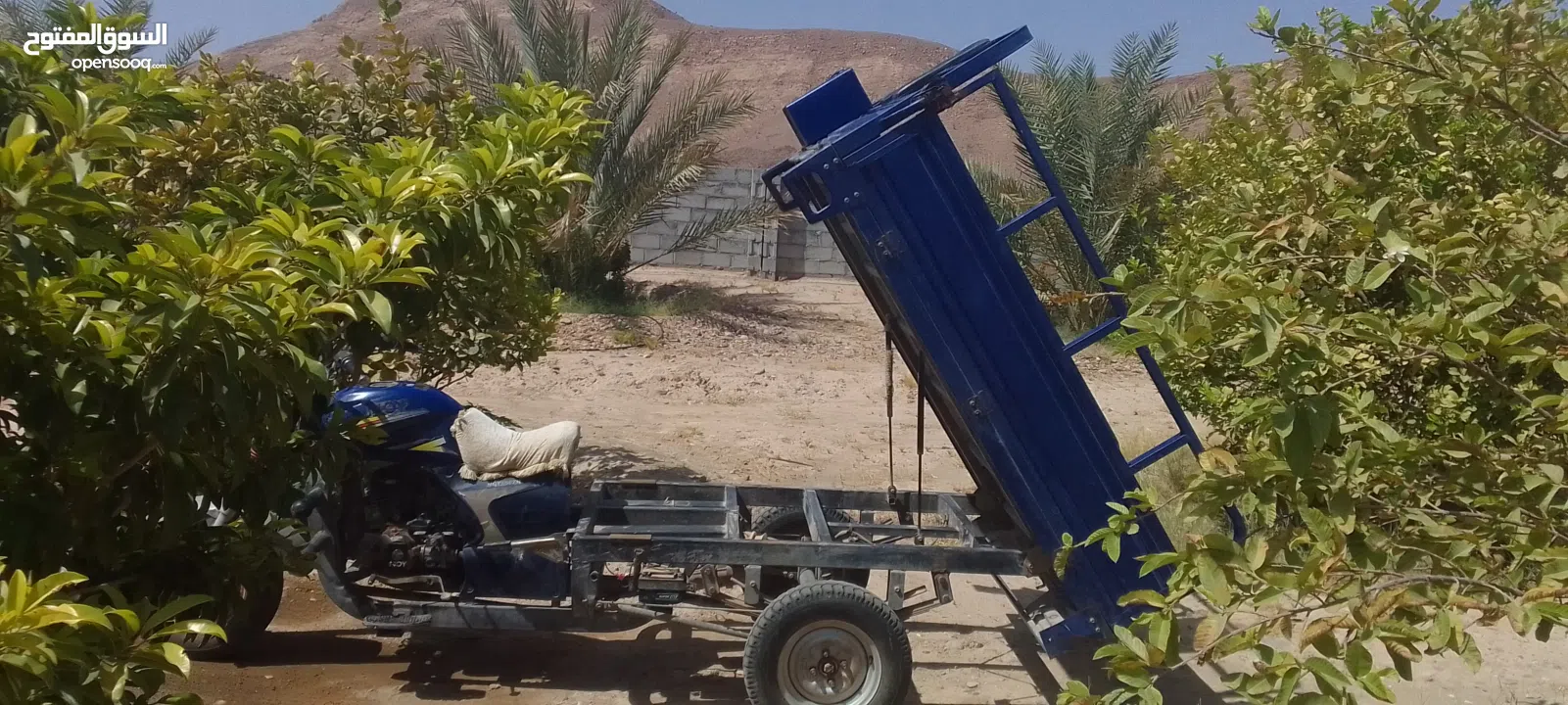 تكتك عربة دراج : دراجات : الداخلية بهلاء (249604379)