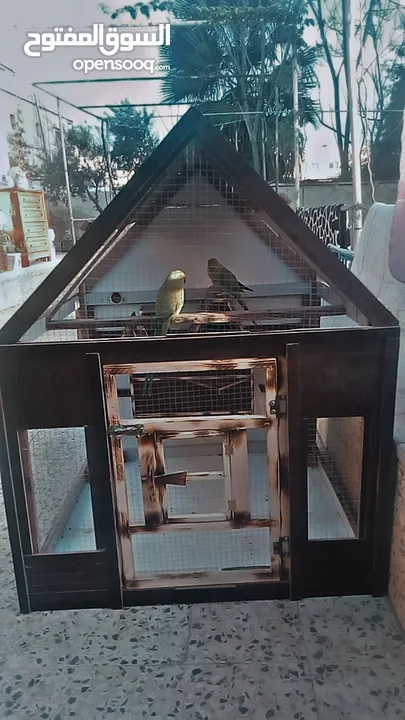 مخليف درة مع مطير اقرء الوصف - (236698830) | السوق المفتوح