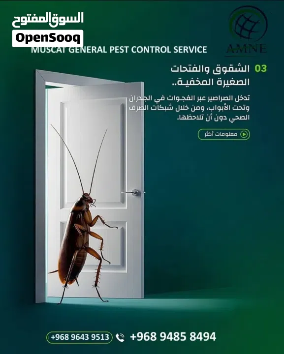 Muscat Pest Control Service مسقط لخدمات مكافحة الحشرات - (270753489 ...
