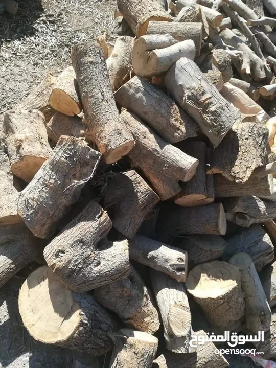 حطب زيتون للمواقد وللصوبات والحجم حسب طلبك ناشف واصل لبيتك خدمه توصيل ...