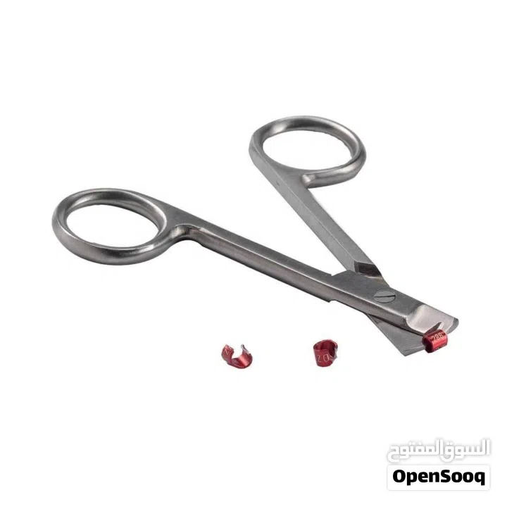 Stainless Steel cutter for removing leg band's - (252695655) | السوق ...