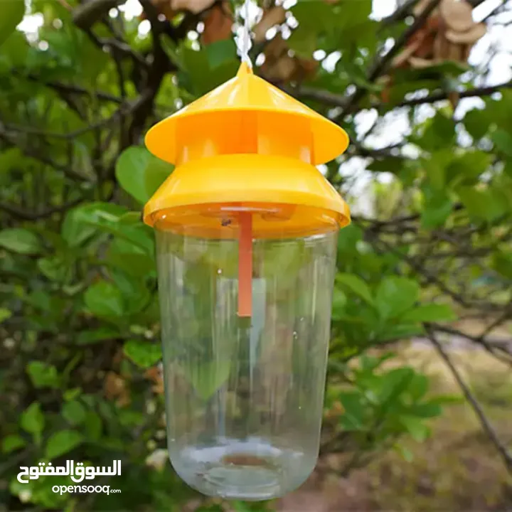 مصيدة ذباب الفاكهة مع الفرمون ومصائد الذباب العادي - (253812345 ...