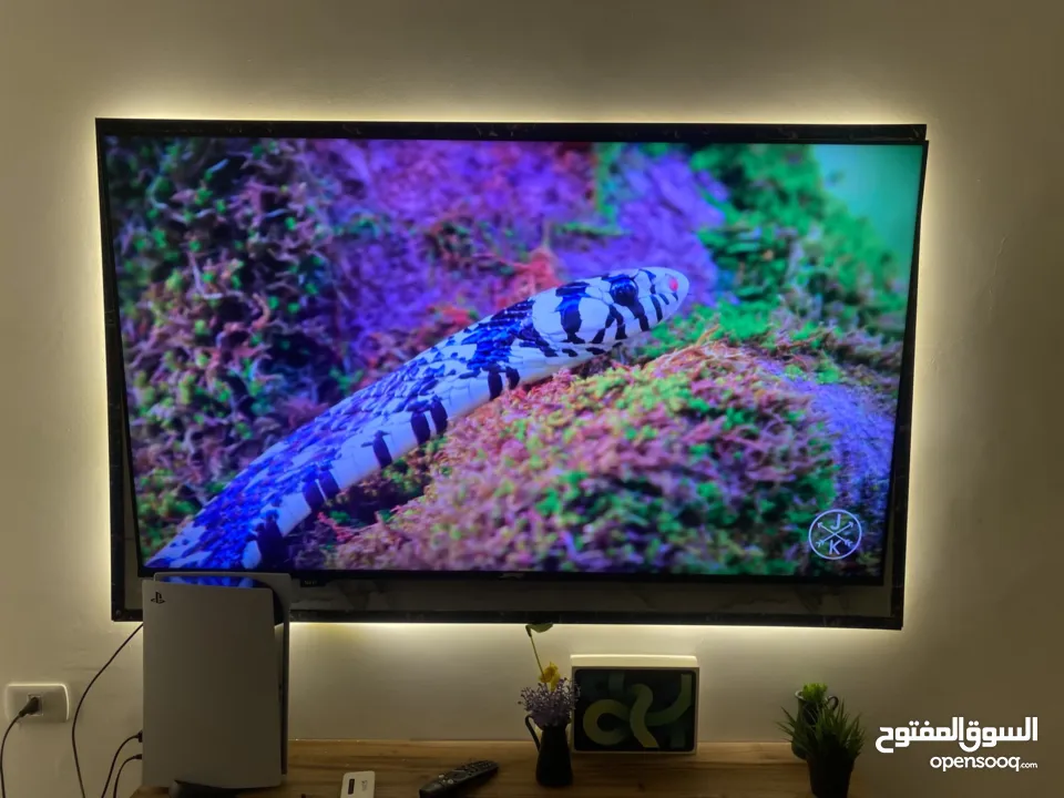 شاشه JPE نظام LG : تلفزيون - شاشات : طرابلس سوق الجمعة (260239653)