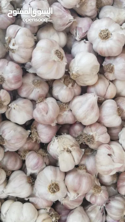 ثوم ثوم عماني : طعام - غذاء - اخرى : الداخلية نزوى (225629202)