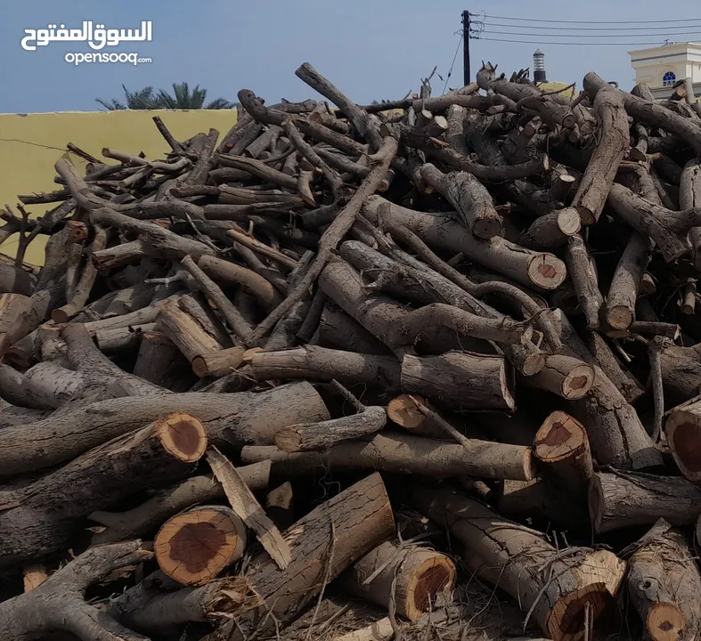 حطب سمر التوصيل مجان الاحجام مختلفه يابس خالي من الرمه - (236618388 ...