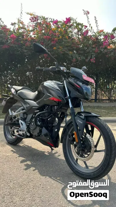 Bajaj Pulsar 150cc 2021 model - (253348897) | السوق المفتوح