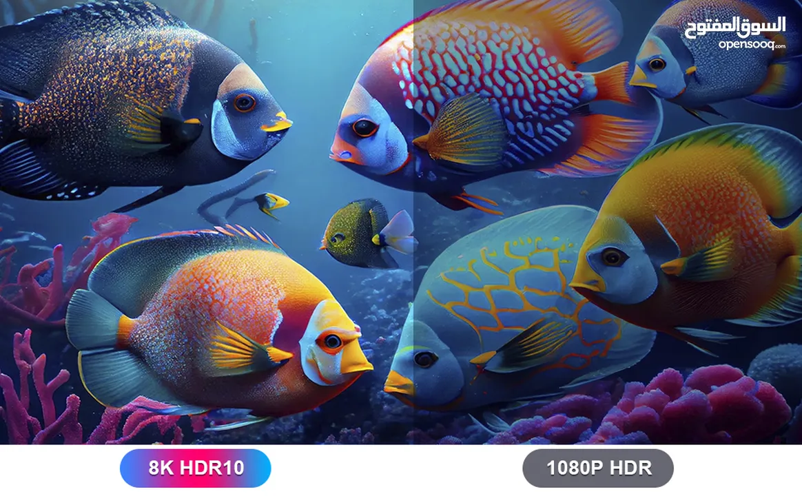 !! اقوى سعر بالمملكة !! TV BOX Transpeed Android 13 8K 5G احدث جهاز ترفيه بأقل سعر بالمملكه ...