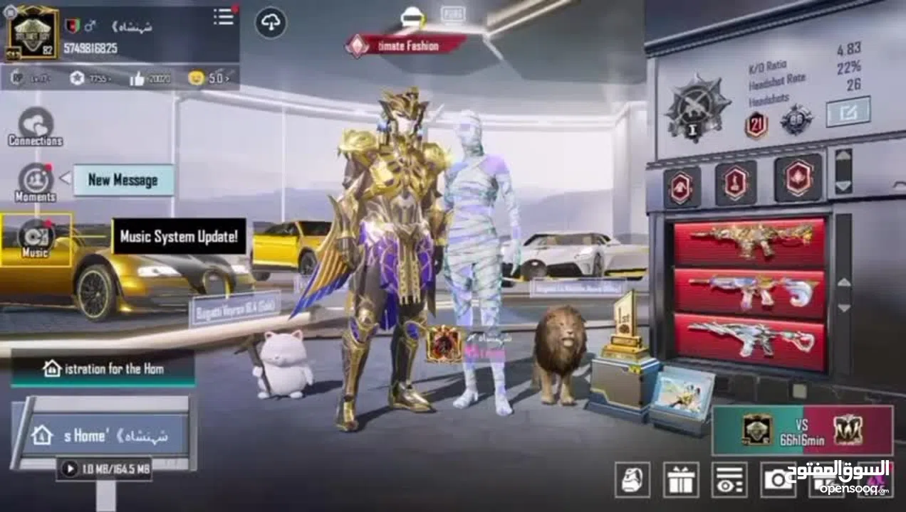 pubg id for sale : بيع حسابات : مسقط الجفنين (249232887)