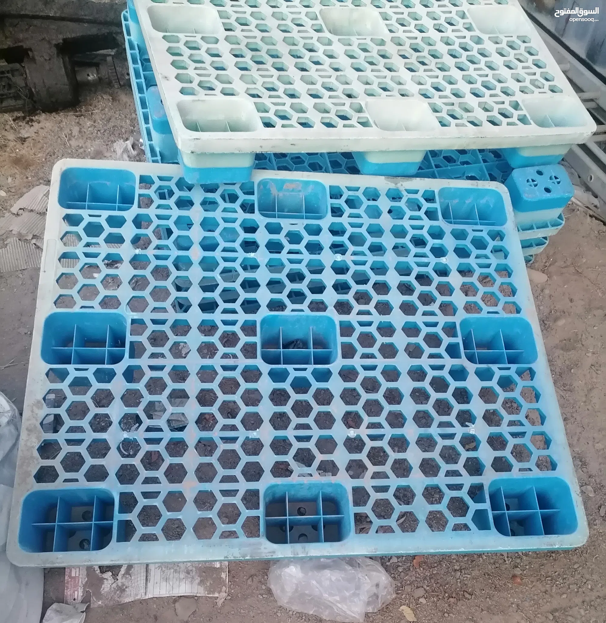 Plastic Pallets Avialabe for Sale - (255765323) | السوق المفتوح