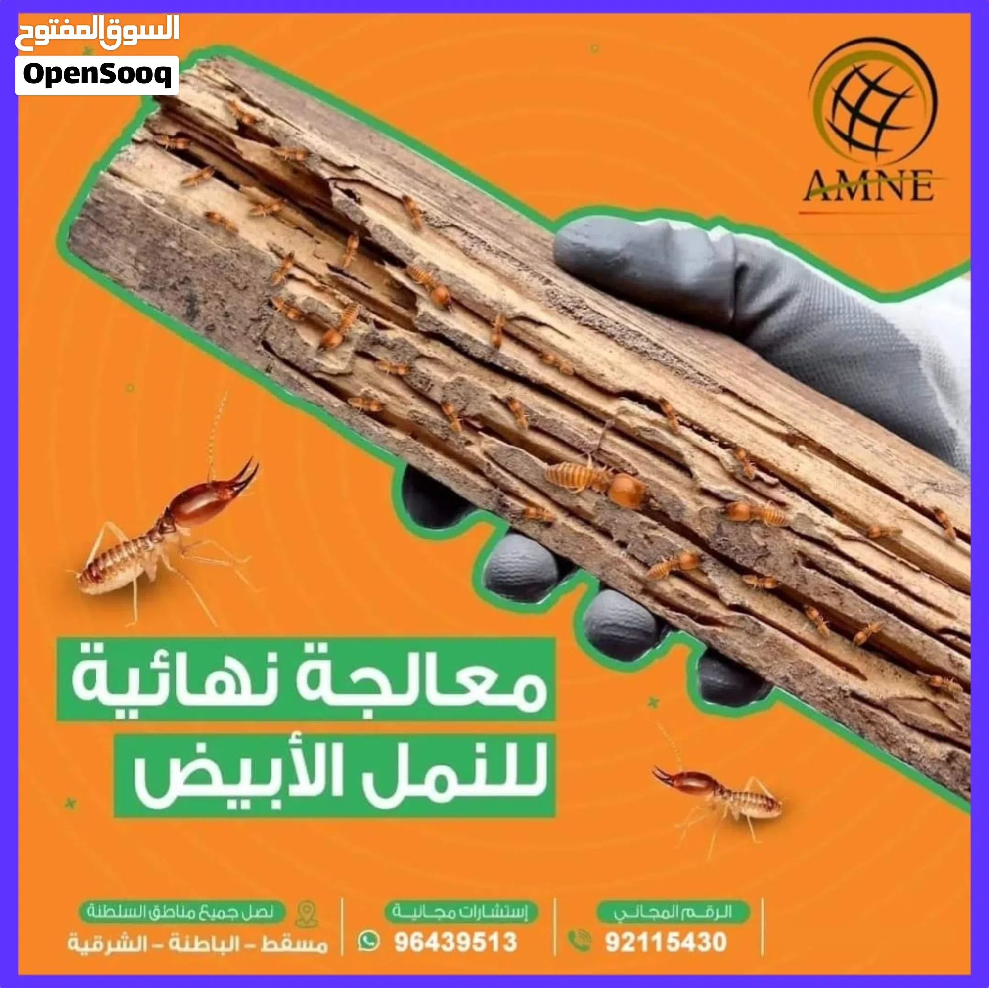 Muscat general pest control service - (252730249) | السوق المفتوح