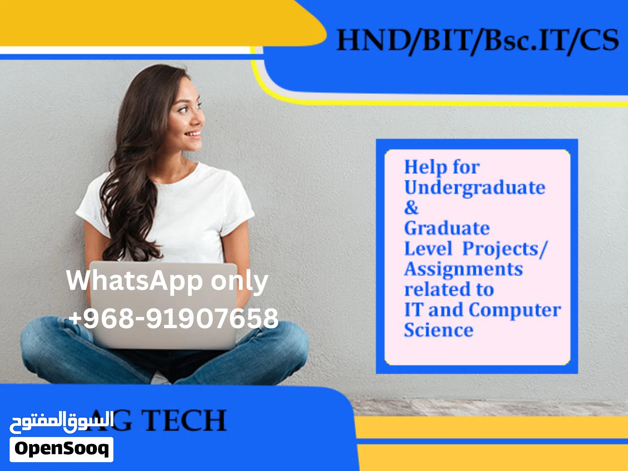 Assignment help for IT/Computer Science related subjects for undergrad ...