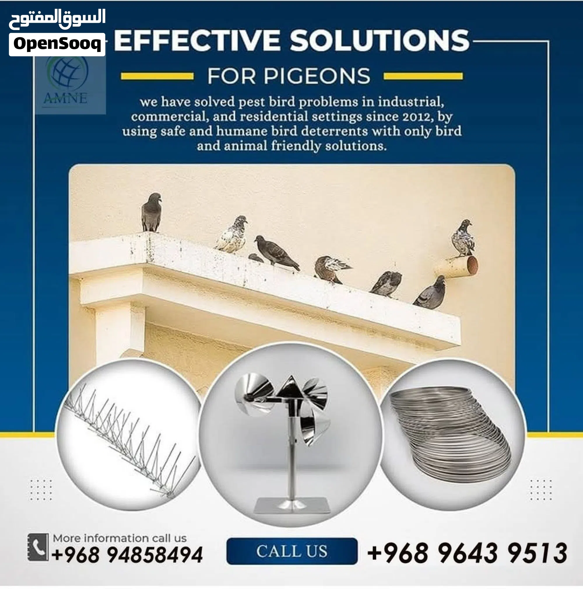 Muscat Pest Control Service مسقط لخدمات مكافحة الحشرات - (270753489 ...