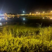 Ali Ha | السوق المفتوح