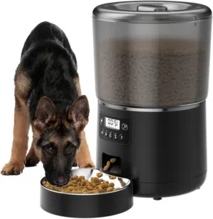 Pets & Animals for Sale and Adoption in Kuwait : Best Prices in Kuwait ...