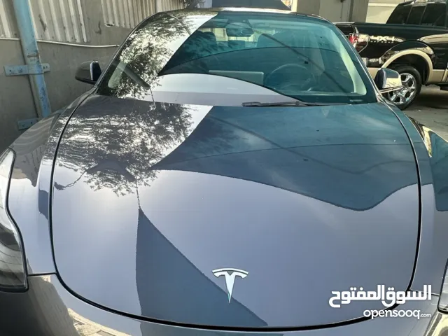 46 Used Tesla Model 3 2022 Cars For Sale in Jordan : Price from 17,900 ...