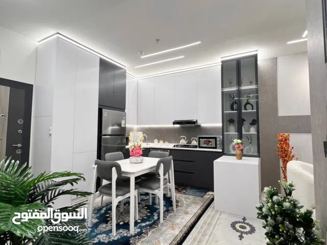 Apartments for Rent in Erbil : Furnished : Monthly Payments : Best ...