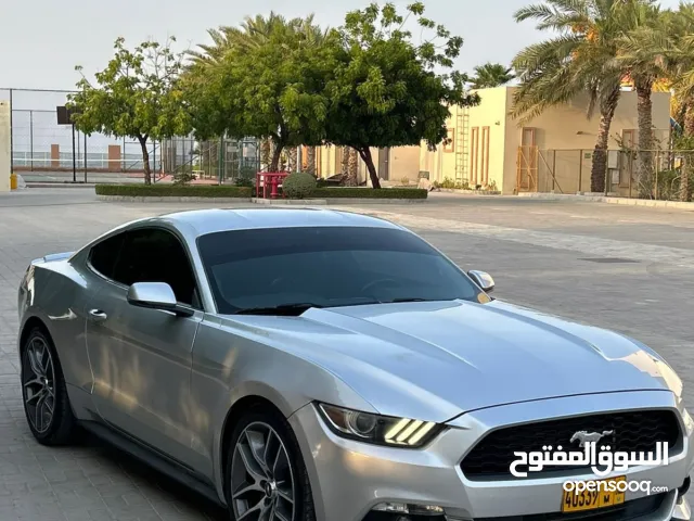 Ford Mustang Cars for Sale in Oman : Best Prices : All Mustang Models ...