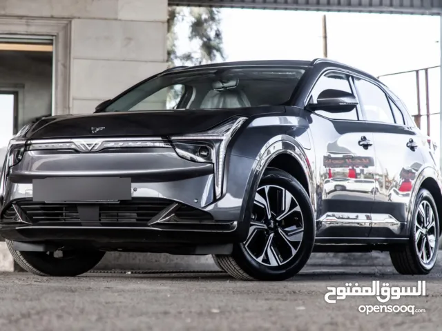 Neta U Blue 500KM Panorama