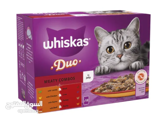 حيوانات للبيع : حيوانات للتبني : قطط : كلاب : طيور : غنم : ببغاء ...